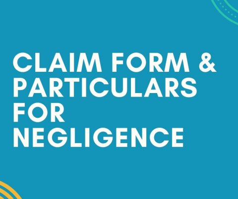 Claim Form And Particulars For Negligence