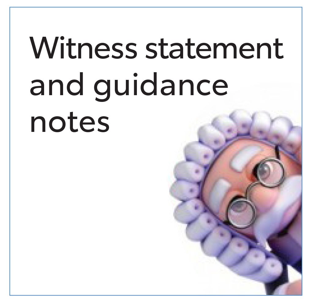 Witness Statement And Guidance Notes